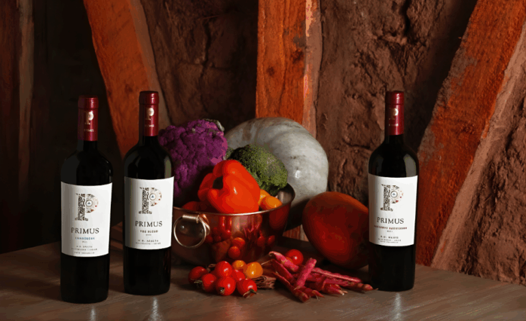 Trusted By Premium & Multinational Brands | Stansfeld Scott